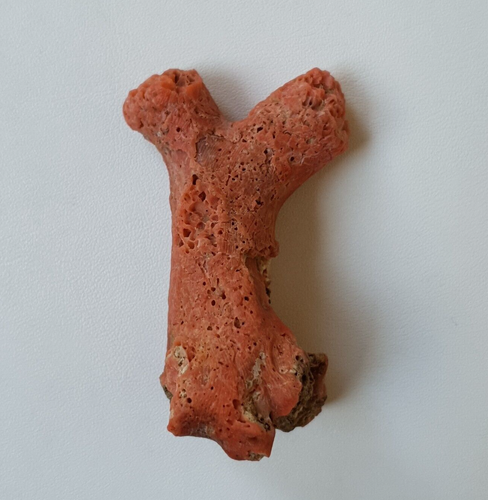 Red Coral Rough Italian Mediterranean Deep Sea Stick Loose Unpolished ...