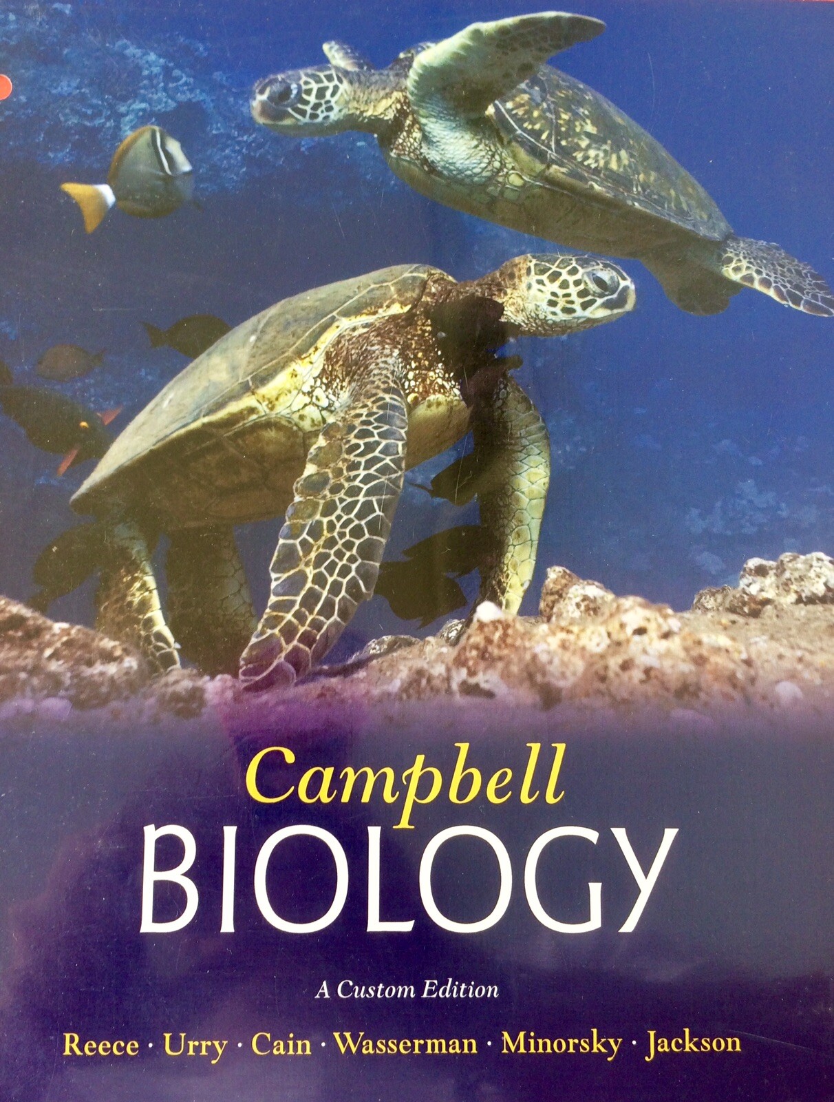 Campbell Biology Custom Edition Looseleaf Textbook. 9th Edition. 2011 ...