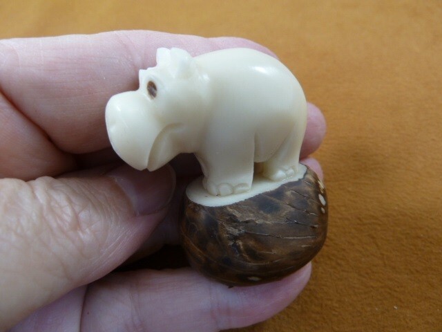 (TNE-HIP-499f) little Hippo Hippopotamus TAGUA NUT Figurine palm I love ...