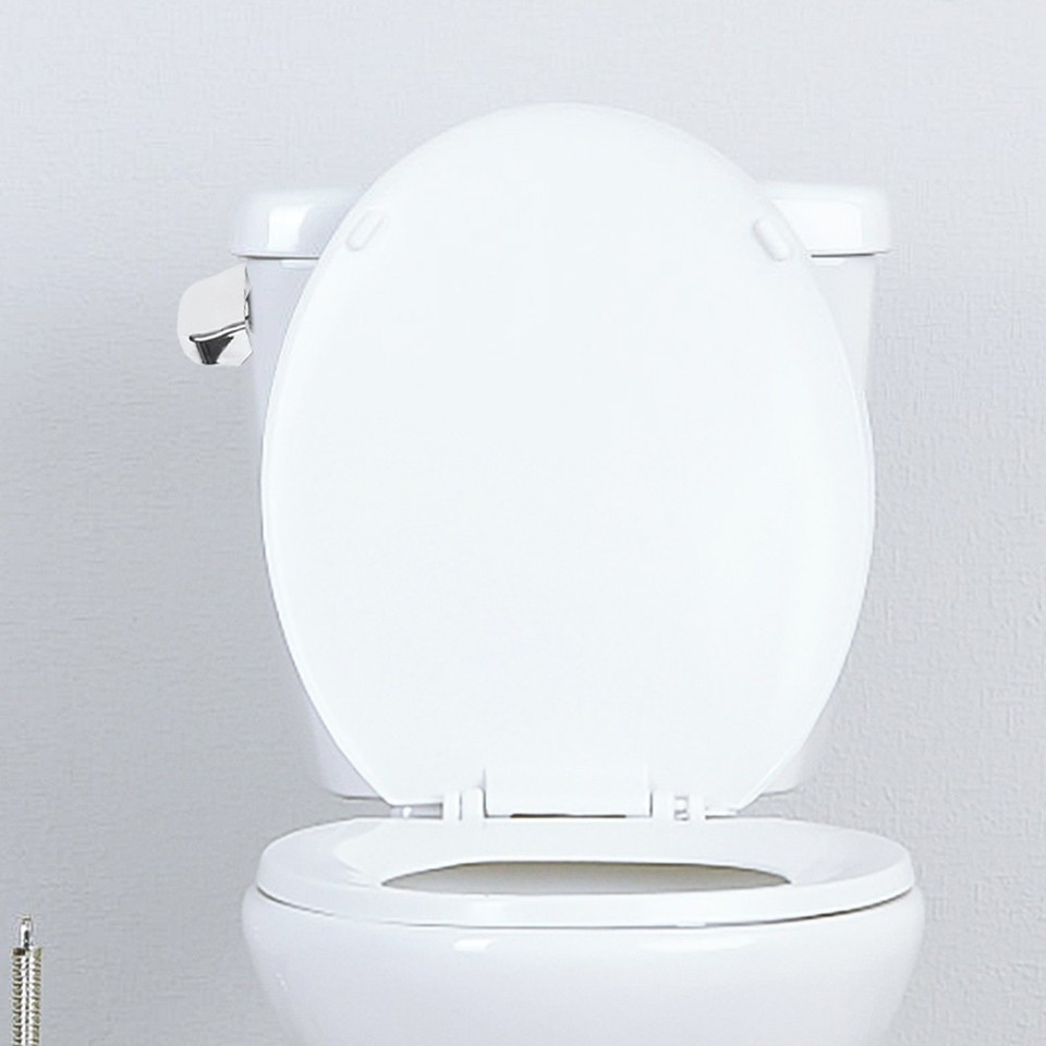 2 Pcs Toilet Water Tank Flush Button Side Mount Handle Plastic | eBay ...