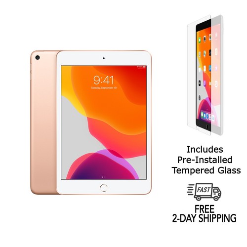 Apple iPad Mini 5 A2133 (WiFi) 256GB Gold with Tempered Glass ...