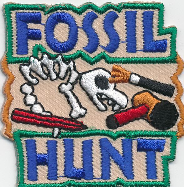 Girl Boy Cub FOSSIL HUNT Hunting trip Park Fun Patches Crests Badges SCOUT GUIDE | eBay