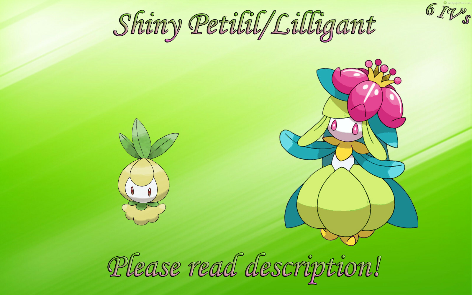 Shiny Petilil Sprite