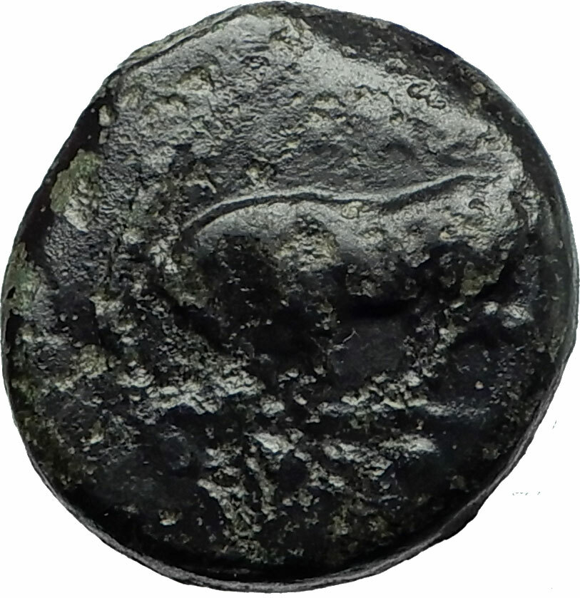 Gela in Sicily 420BC Trias Bull & River-god Gelas Ancient Greek Coin ...