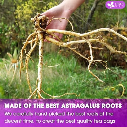 FreshDrinkUS Astragalus Root Tea: natural, vegan, sugar/caffeine/gluten ...