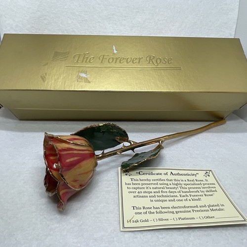 Forever Rose 24K Limited Edition Gold Dipped Red & Yellow Striped Real ...