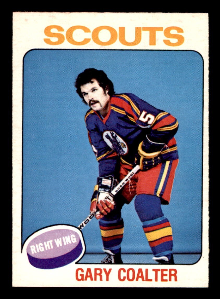 1975 OPC O-Pee-Chee Hockey #334 Gary Coalter NM *e1 | eBay