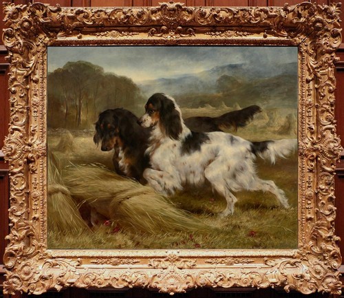 Handmade old master Antique Oil Painting art Animal dogs on canvas 20 ...