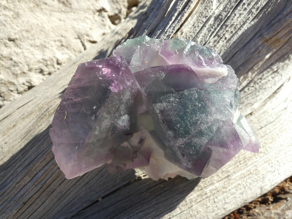 Absolute STUNNING multi-color Fluorite Mineral Specimen, U.S. Veteran ...