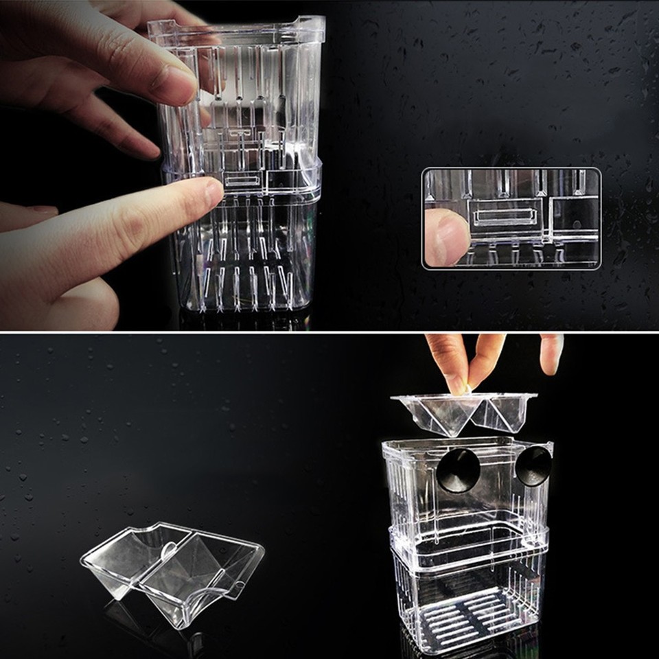 Guppy Birthing and Hatching Box, Aquarium Isolation Box, Juvenile Betta ...