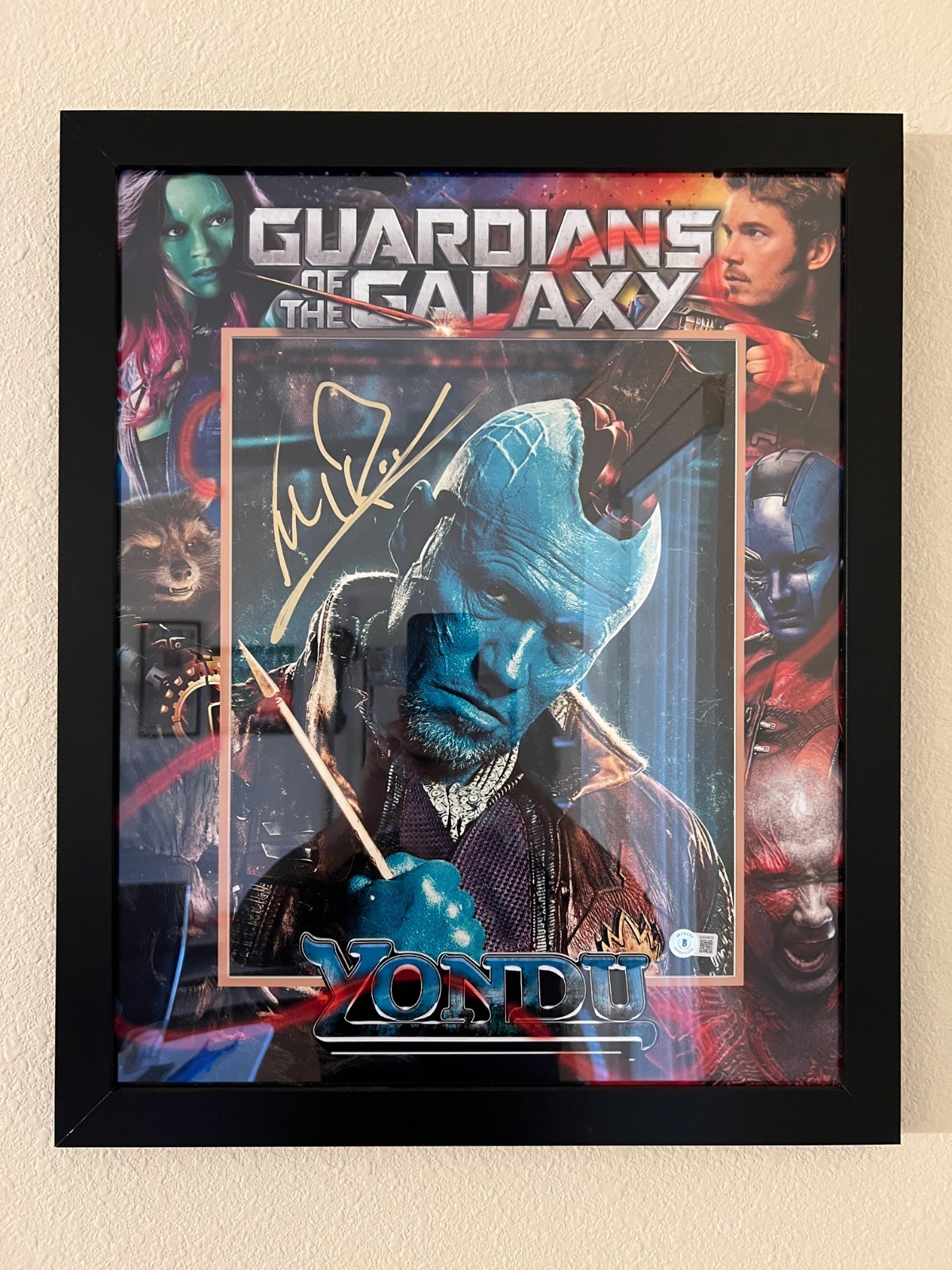 Michael Rooker Signed 11x14 Photo FRAMED CUSTOM MAT Yondu BAS COA | eBay