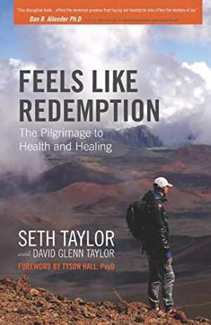 Feels Like Redemption: The Pilgrimage - Paperback, by Taylor Seth ...