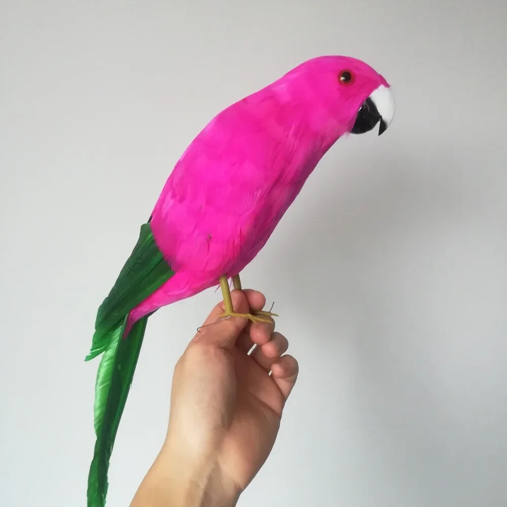 Pink Parrot Bird
