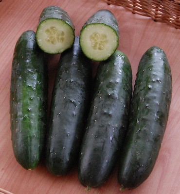50 Samen GURKE MARKETMORE 76 Cucumis ALTE SORTE Gurken Gurkensamen ...