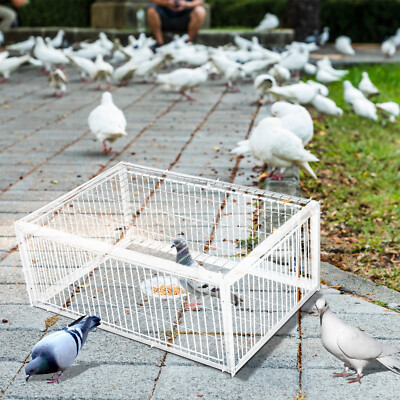 Feral Pigeon Trap Humane Pest Control Multi Trap Catch Foldable W/ Four ...