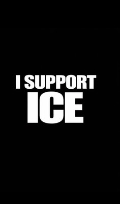 I Support ICE Vinyl Decal Sticker Protest America Trump Rights ...