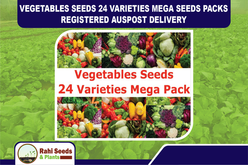 Vegetables Seeds 24 Varieties Mega Seeds Packs Registered AusPost ...