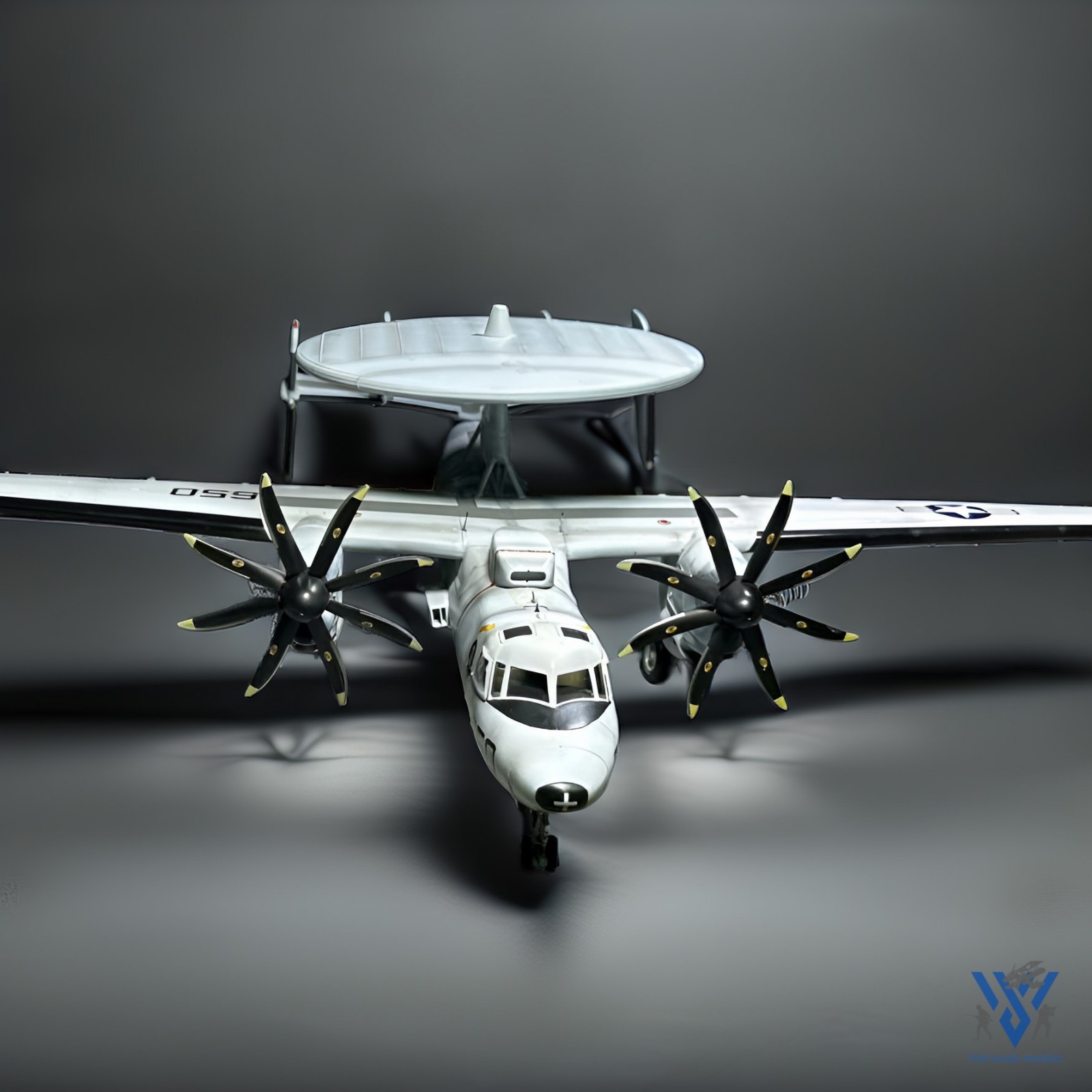 E-2C Hawkeye 1:48 Model – Built & Painted, Personalized Decals | eBay