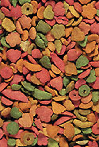 NutriBird P15 Pellets Tropical Complete Parrot Food 1kg Versele Laga ...