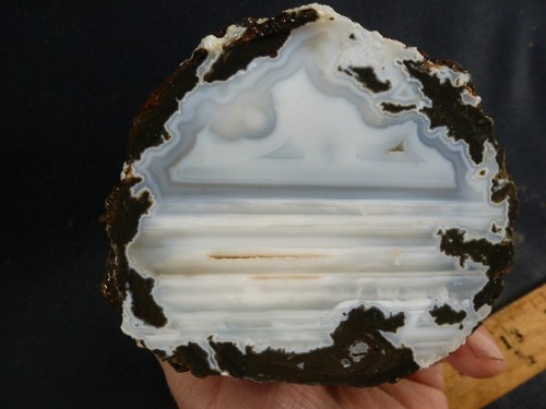 CSS: 2.6 lb Face Cut Oregon Thunderegg nodule Rough Rock | eBay