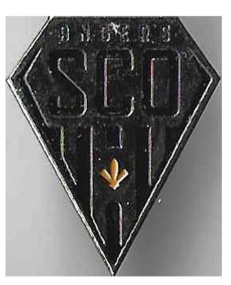 Pin (badge) France SCO Angers | eBay