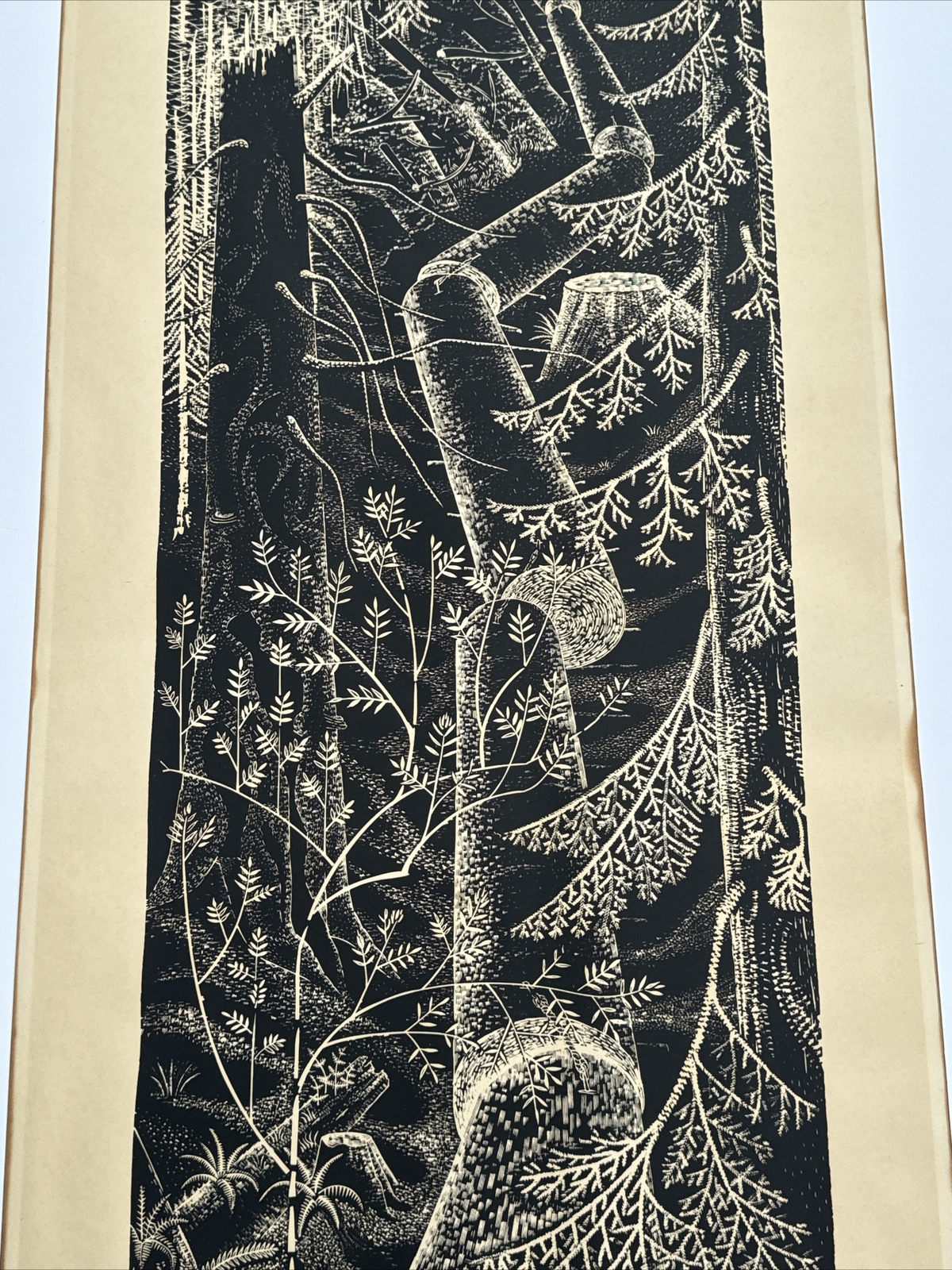 EMMY LOU PACKARD LINOCUT 58 INCH LARGE LOGGING IN MENDOCINO 1962 SIGNED ...