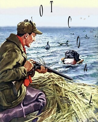 ANTIQUE MALLARD DUCK HUNTING REPRO 8X10 MAGAZINE COVER ART PHOTO PRINT ...