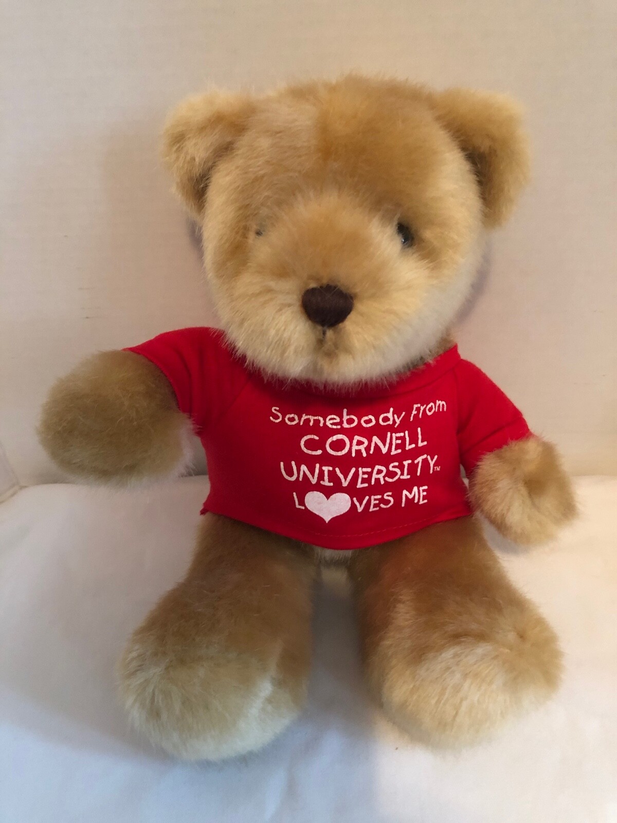 Cornell University Bear