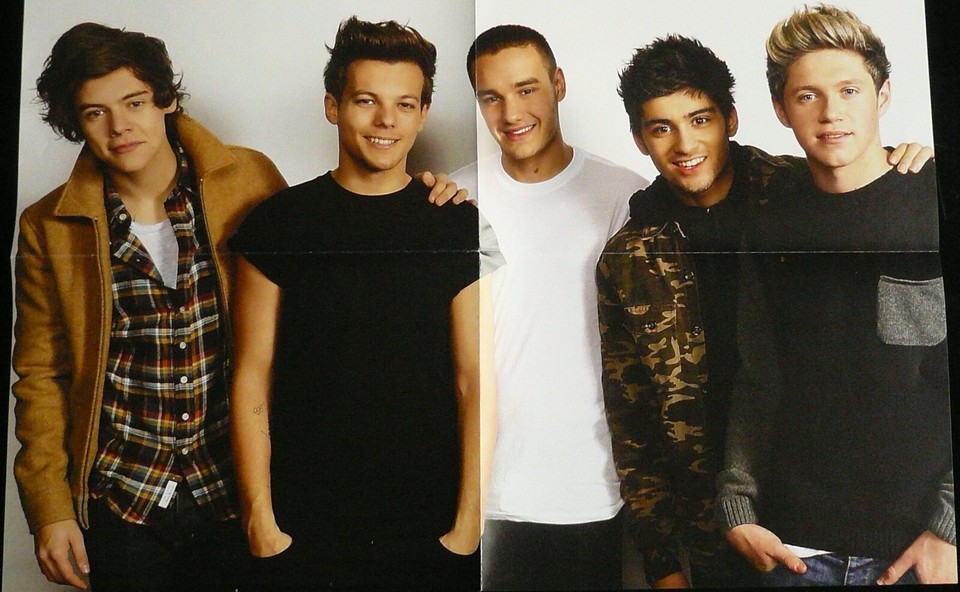 1D - Faites la fête avec ONE DIRECTION + stickers +posters 50x40cm ...
