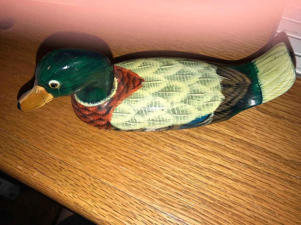 Mallard Drake Locked Up