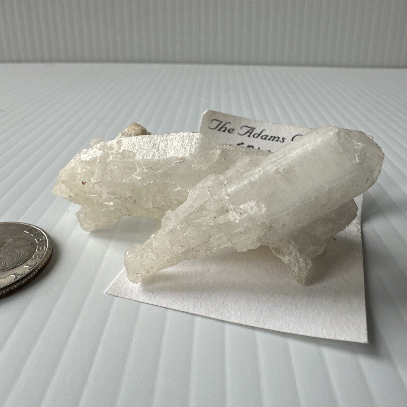Natural Calcite Wake Stone Quarry Moncure Lee NC 1.4 oz Specimen Estate ...