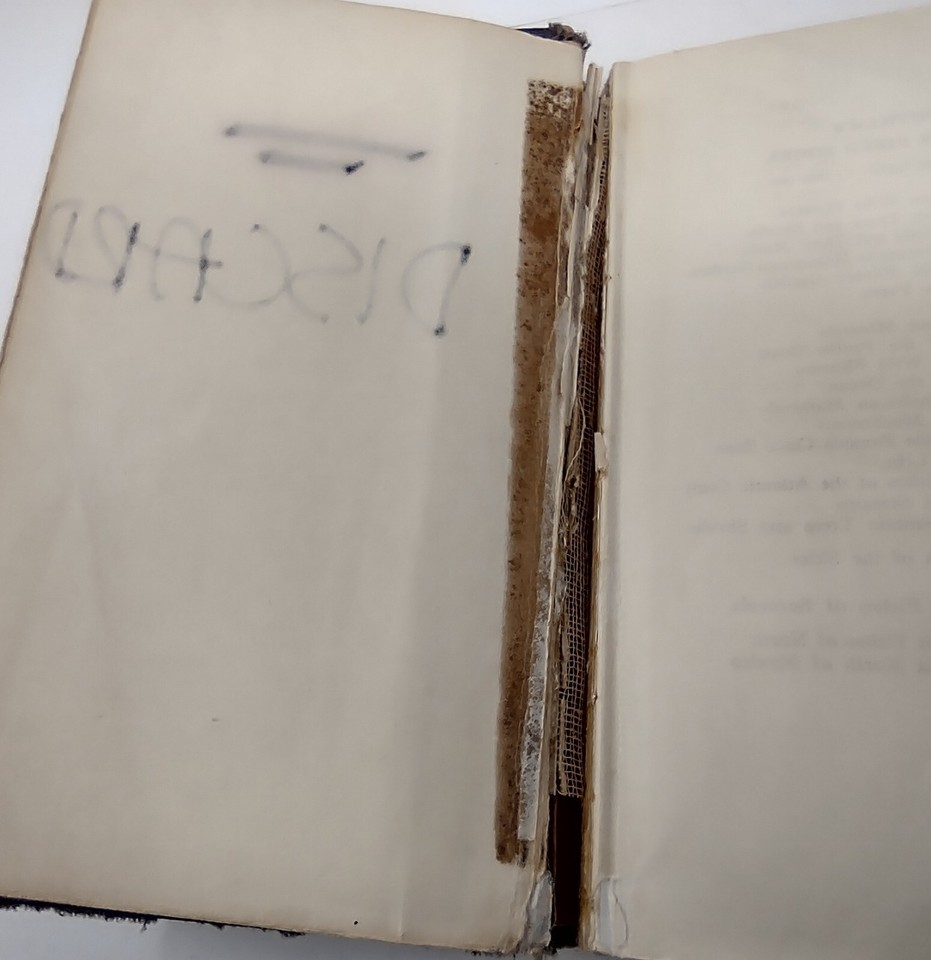 Putnam Field Book Of Ponds And Streams Ann Haven Morgan Sixteenth ...