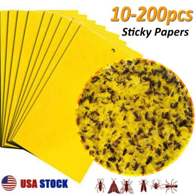 10-200PC Sticky Fly Trap Paper Yellow Traps Fruit Flies Insect Glue ...