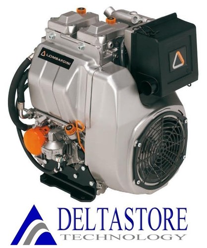 Diesel engine 25ld425 Lombardini ruggerini md190 Version Long Block ...