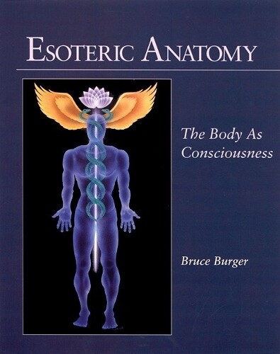 Bruce Burger Esoteric Anatomy (Paperback) (UK IMPORT) 9781556432248 | eBay