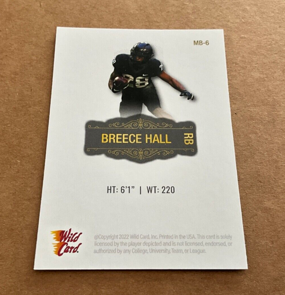 Breece Hall Rookie 2022 Wild Card Matte # MB-6 Football Card | eBay