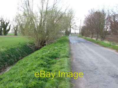 Photo 6x4 Tree growing in a drainage ditch Tipps End c2008 | eBay UK