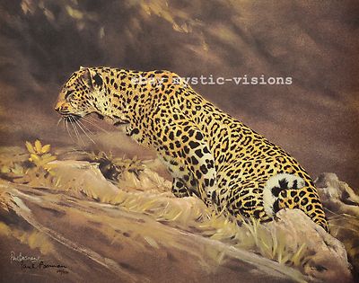 Paul Bosman MAJESTIC PREDATOR Signed Numbered Limited Edition Leopard ...