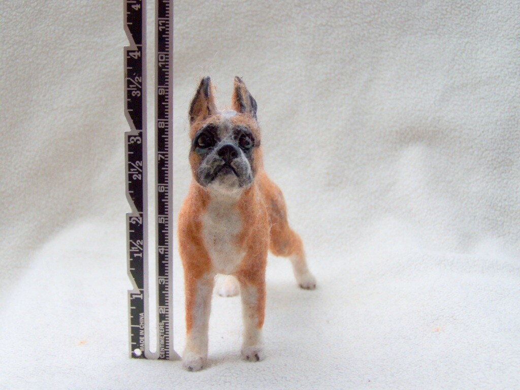 French Miniature Boxer Dog