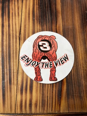 DALE EARNHARDT SR #3 - ENJOY THE VIEW - STICKER | eBay