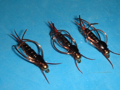 FLY FISHING FLIES - Brown BH THIN-SKIN STONE NYMPH size #8 (6 pcs ...