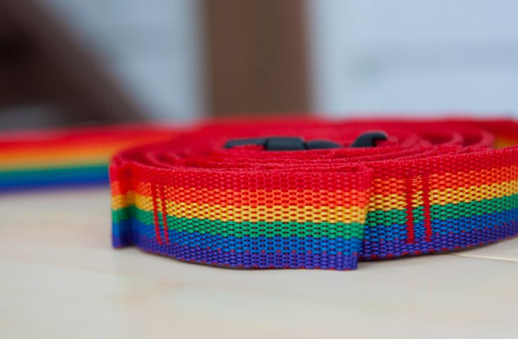 Rainbow Daisy Chain 20mm x 190cm with Pouch for Camping Hiking Outdoor ...