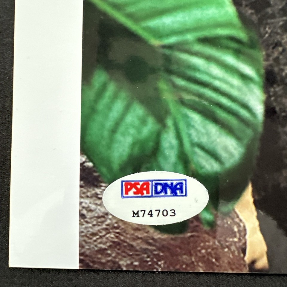 Autographed 8x10 Brande Roderick Playmate Of The Year 2001 PSA DNA ...