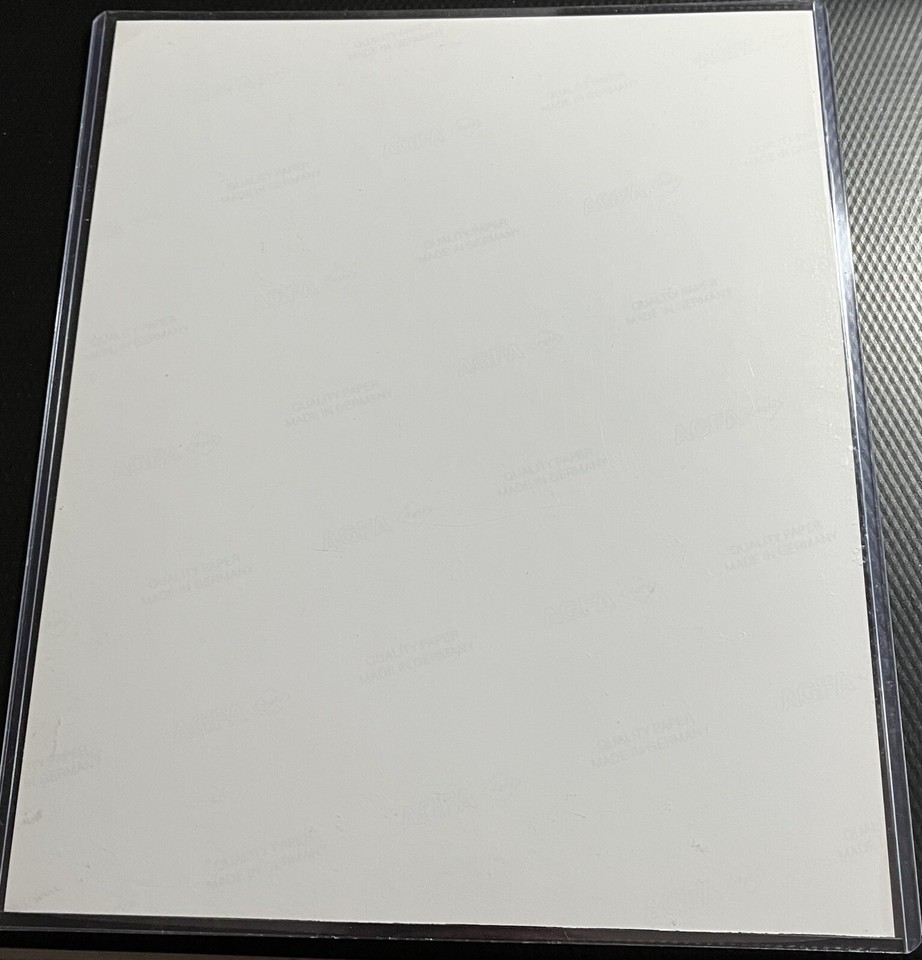 Morganna Signed 8x10 Photograph w/ COA & Top Loader Baseball's Kissing ...