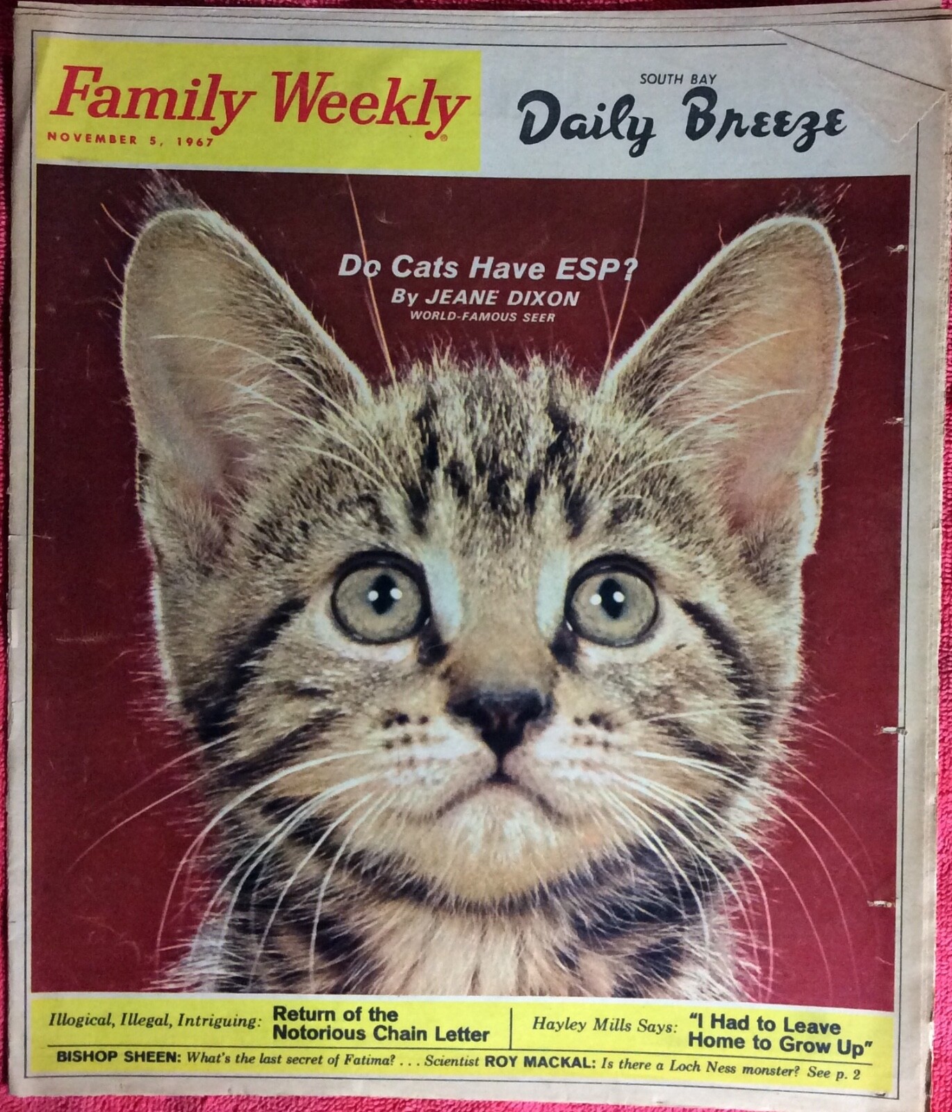 DAILY BREEZE FAMILY WEEKLY MAGAZINE NOVEMBER 1967 JEANE DIXON DO CATS ...