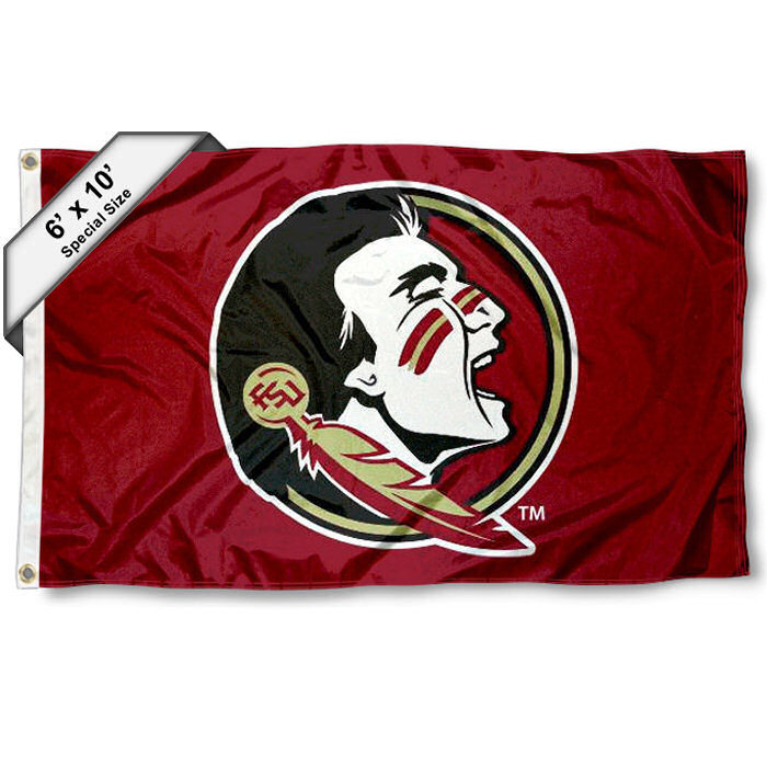 Novo Logotipo Fsu 2024