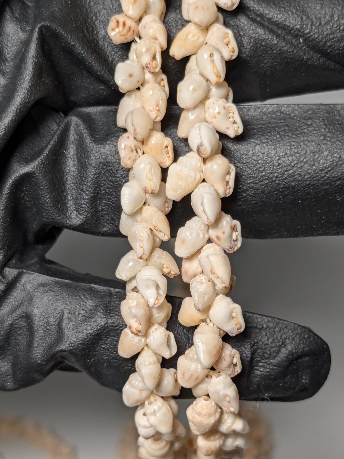 Vintage Ni'ihau Shell Lei Pikake Necklace Long 2 Strand momi shells | eBay