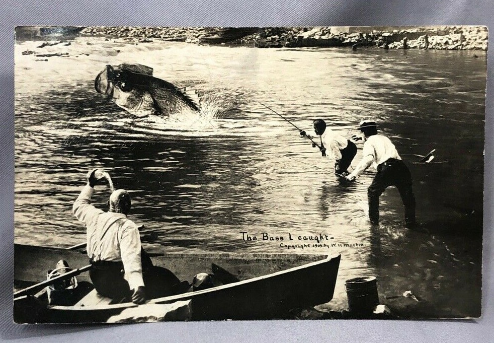 1909 EXAGGERATED Fishing BASS Real PHOTO Postcard RPPC Antique | eBay