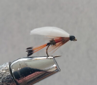 Royal Coachman Trout Wet Fly - Pack of 3 - Size 12 | eBay UK