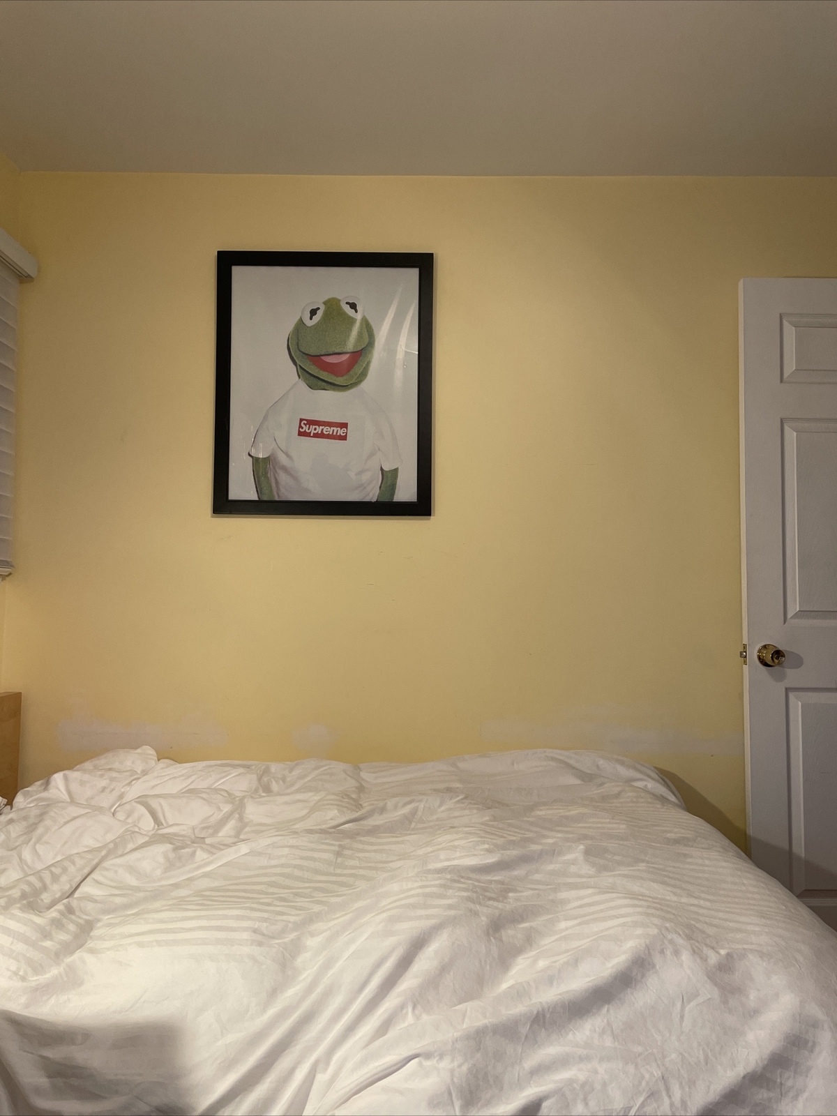 Supreme Spring Summer 2008 Kermit The Frog Poster by Terry Richardson ...